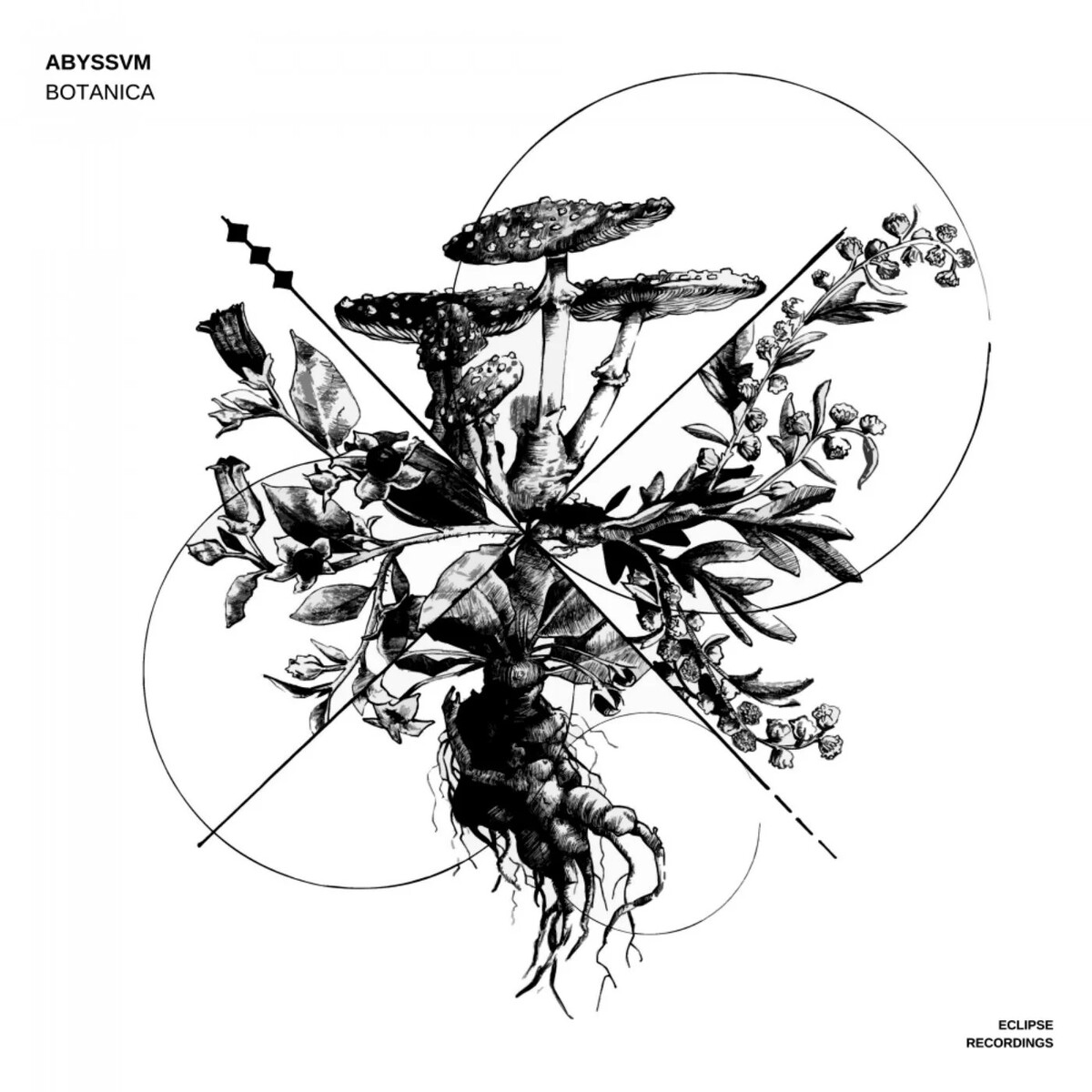 Botanica by Abyssvm (EP): Reviews, Ratings, Credits, Song list - Rate ...