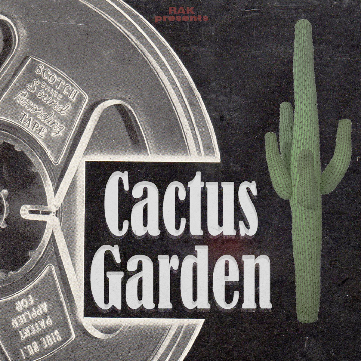 Cactus Garden by rak. (Album): Reviews, Ratings, Credits, Song list ...
