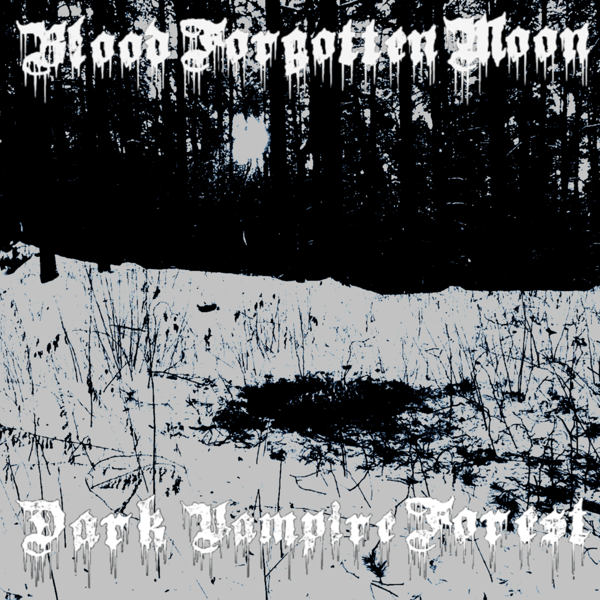 Dark Vampire Forest by Blood Forgotten Moon (EP): Reviews, Ratings ...