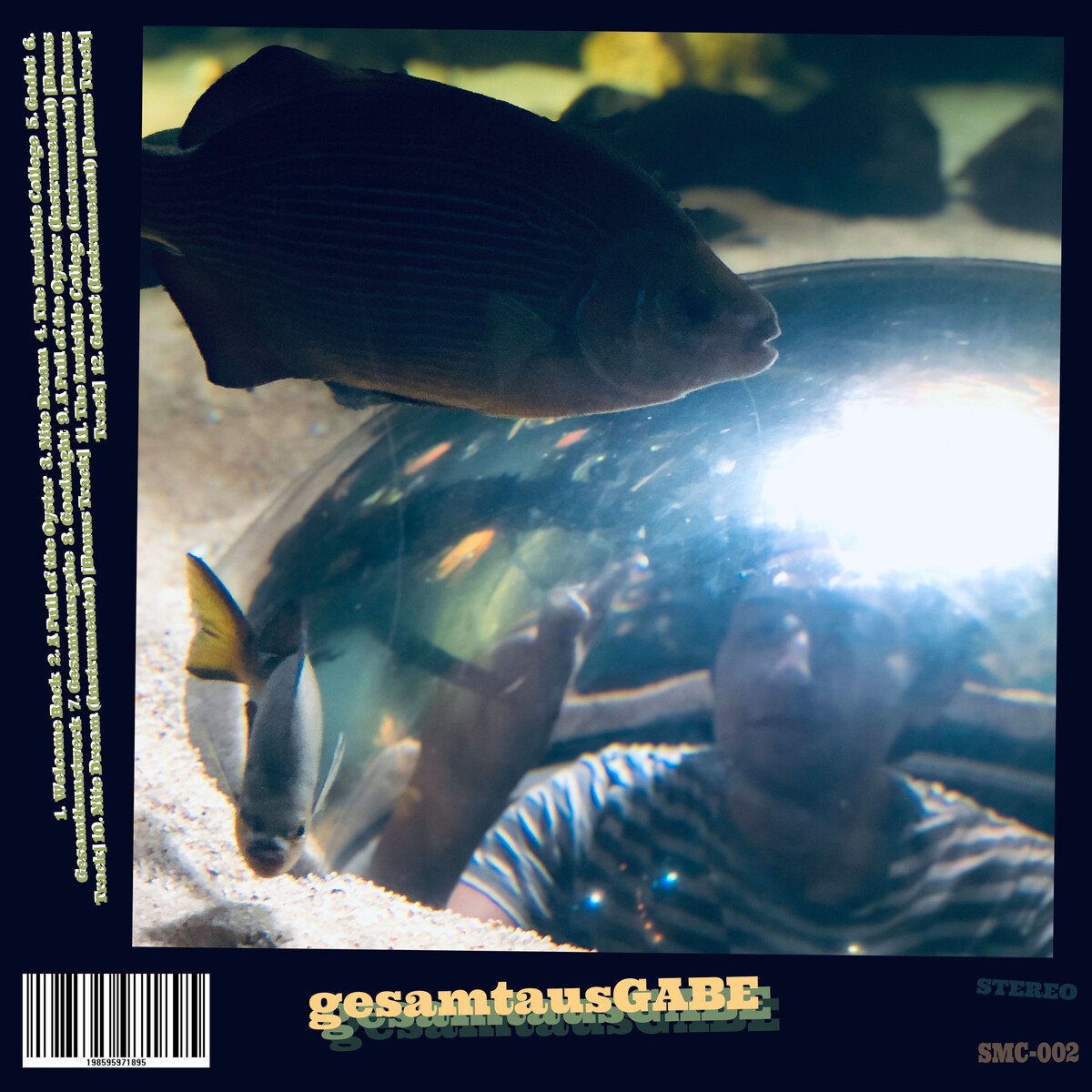 gesamtausGABE by Gabe (Album): Reviews, Ratings, Credits, Song list ...