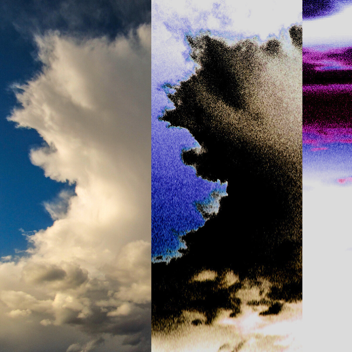 Sunflower Knight by Surri (Single): Reviews, Ratings, Credits, Song ...