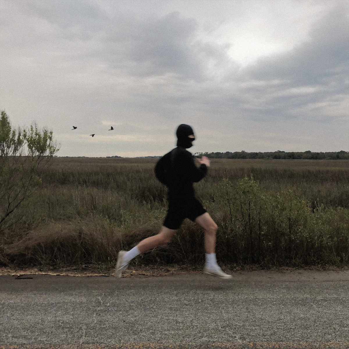 William Crooks Albums: songs, discography, biography, and listening ...