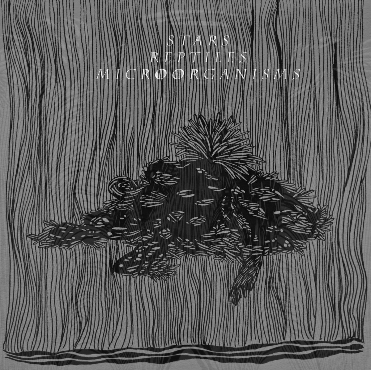 Stars, Reptiles, Microorganisms by Avi C. Engel (Album, Psychedelic ...