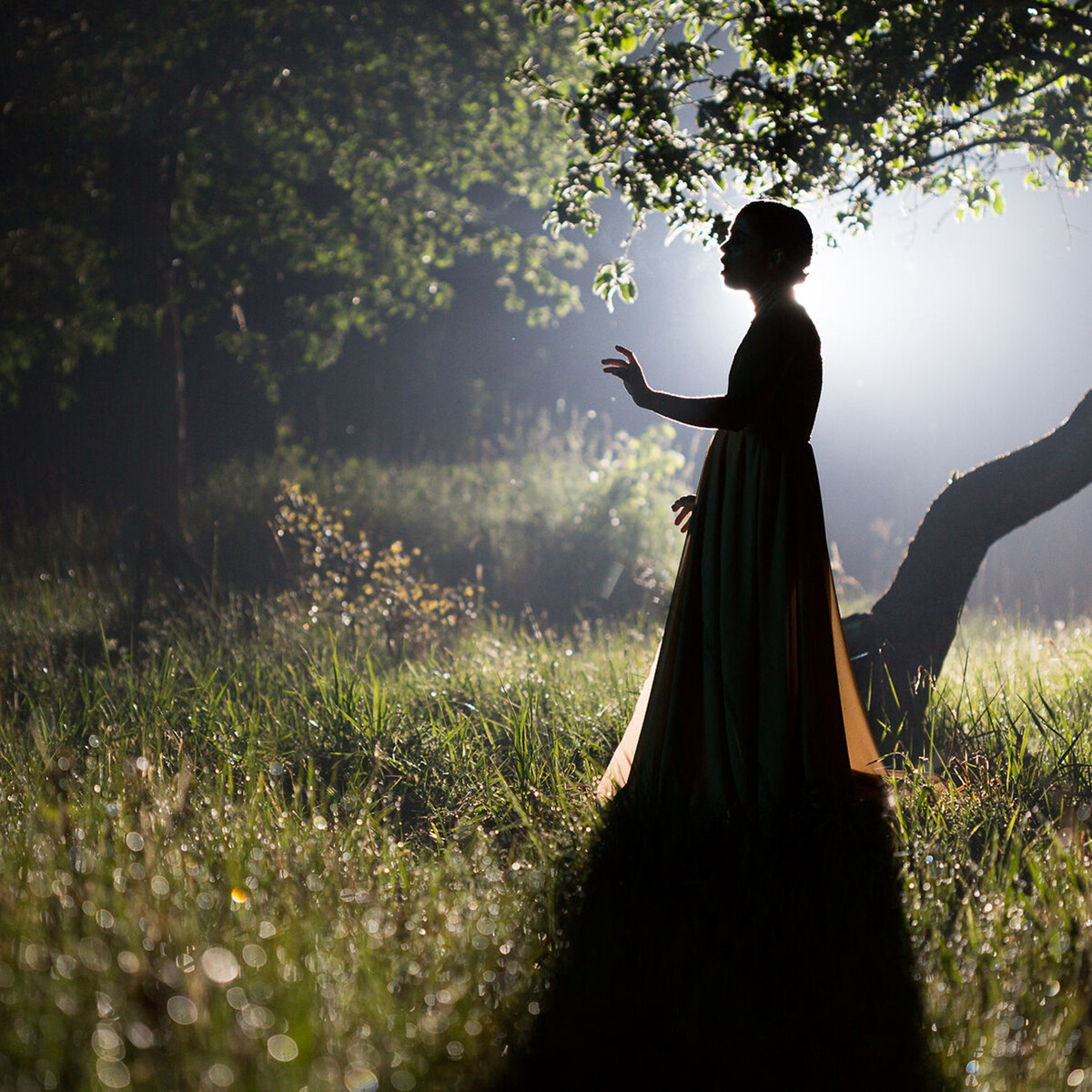 Rescuer by Emel Mathlouthi (Single): Reviews, Ratings, Credits, Song ...