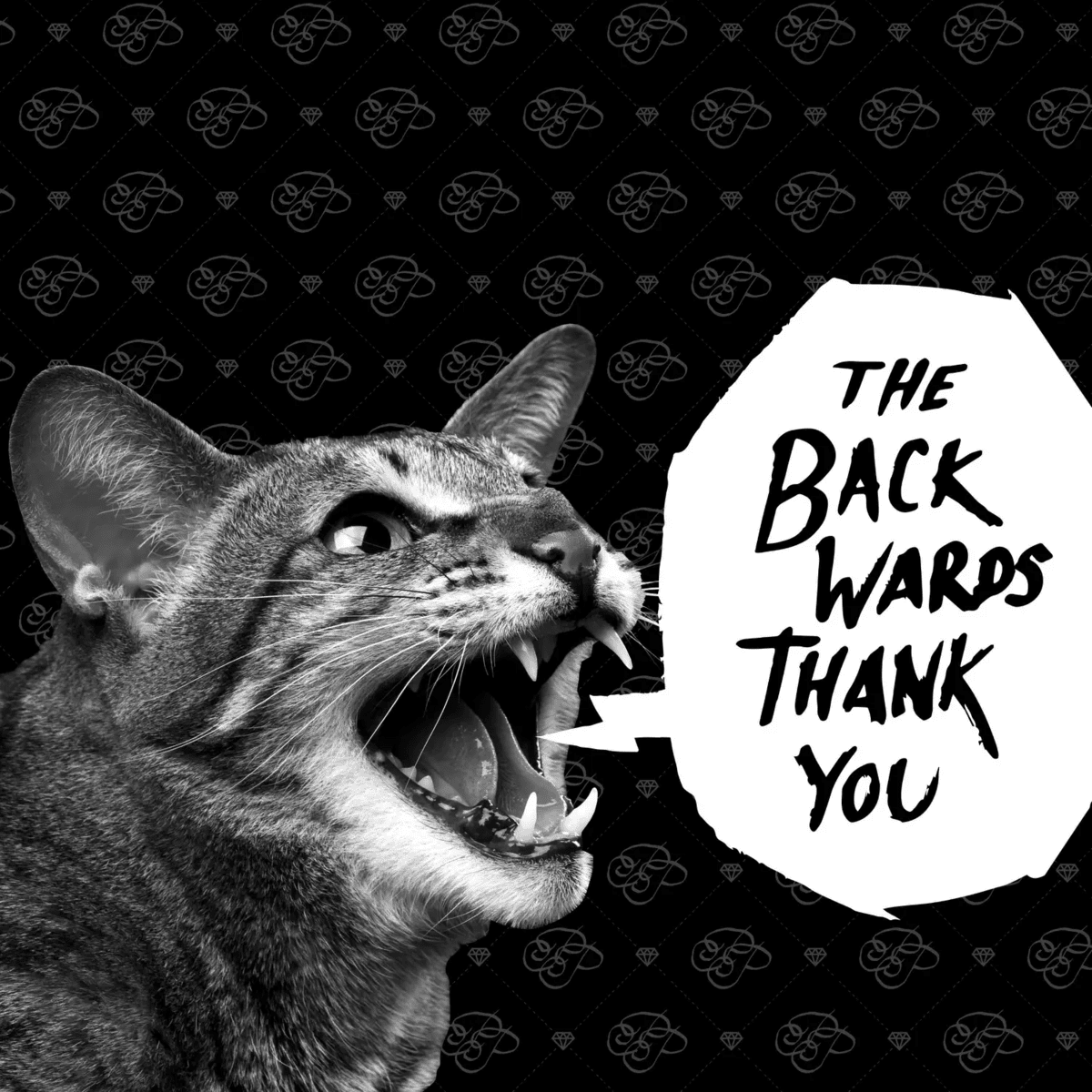 Princess Problems Albums: songs, discography, biography, and listening ...