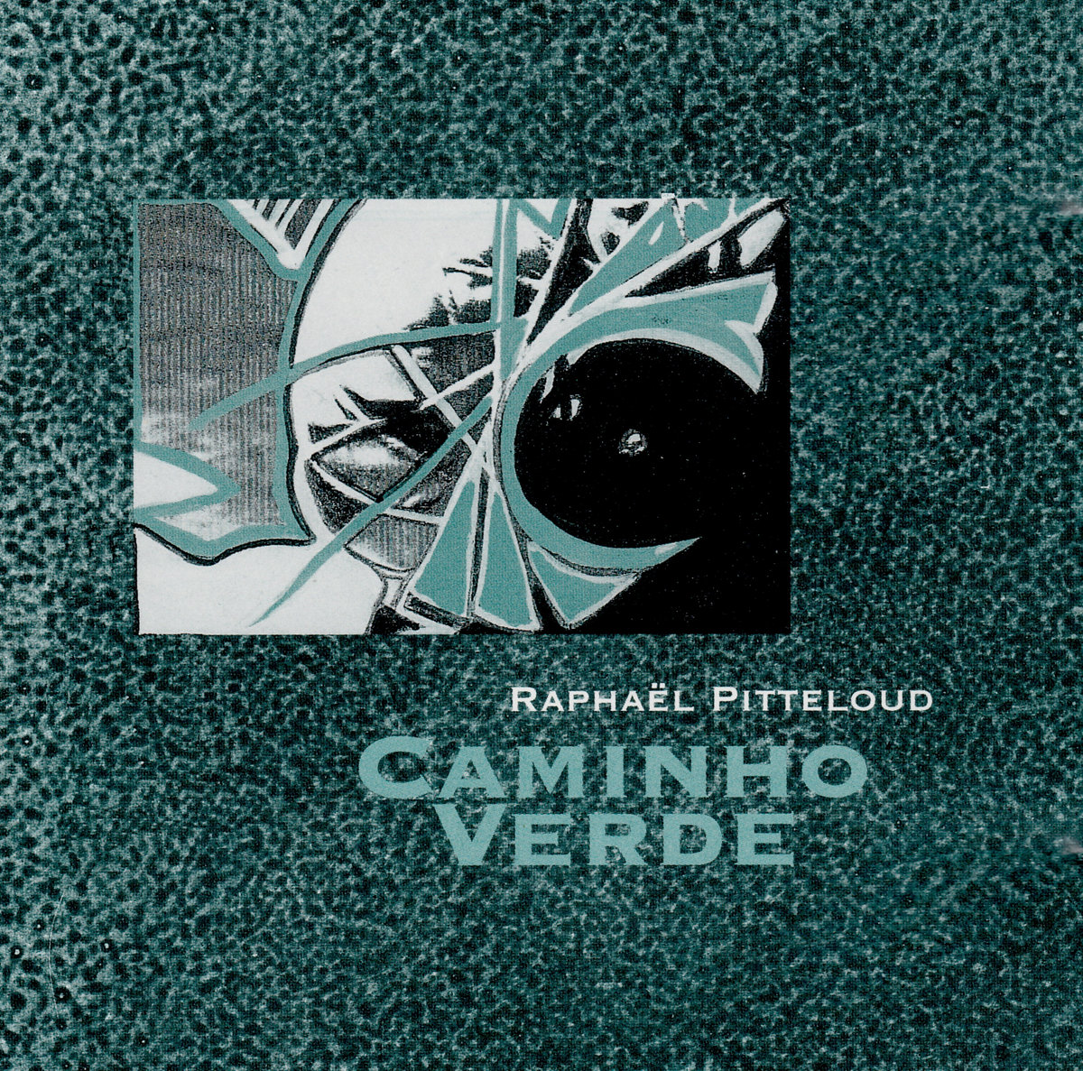 Caminho verde by Raphaël Pitteloud (Album): Reviews, Ratings, Credits ...