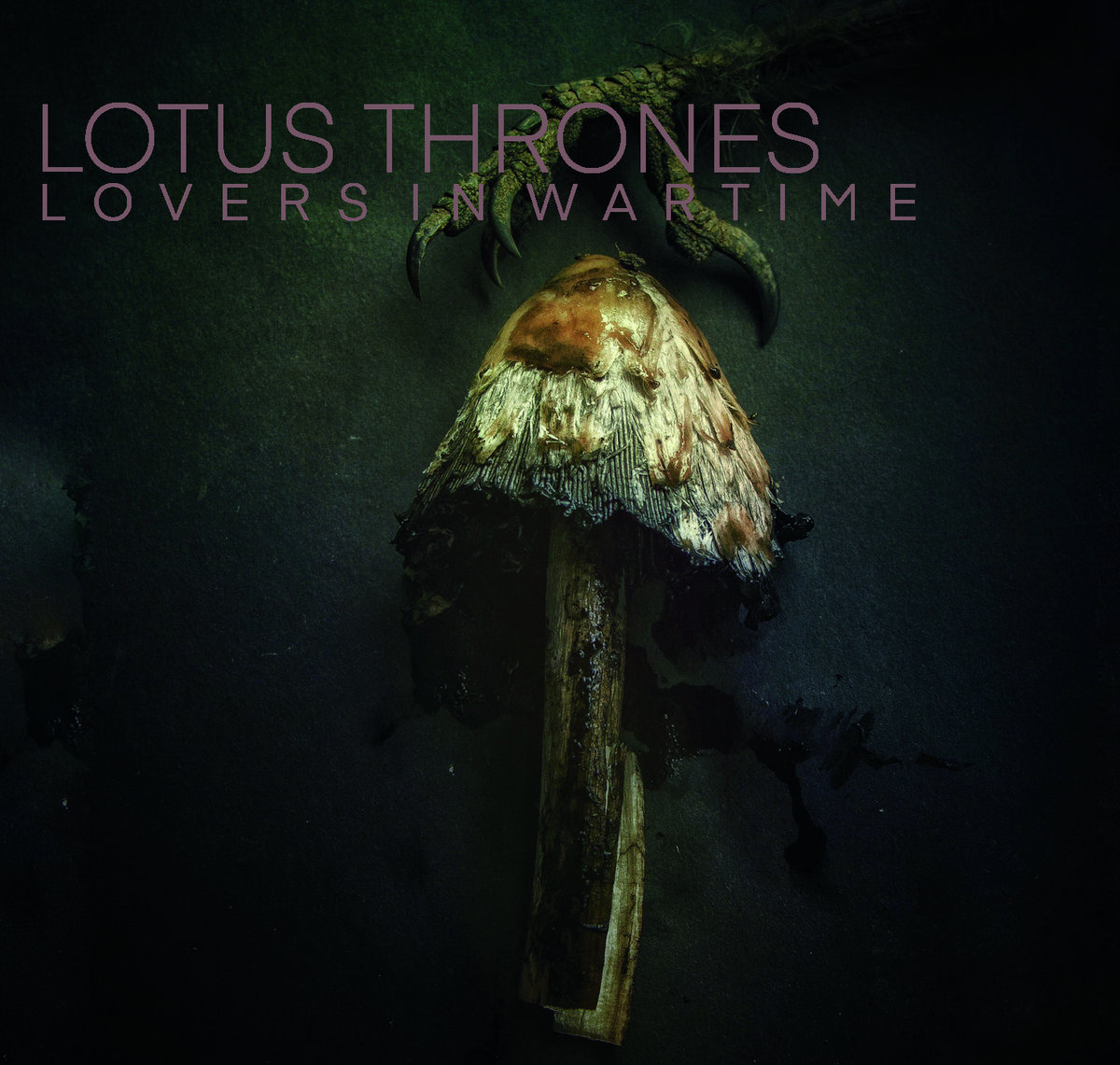 Lotus Thrones Albums: songs, discography, biography, and listening ...
