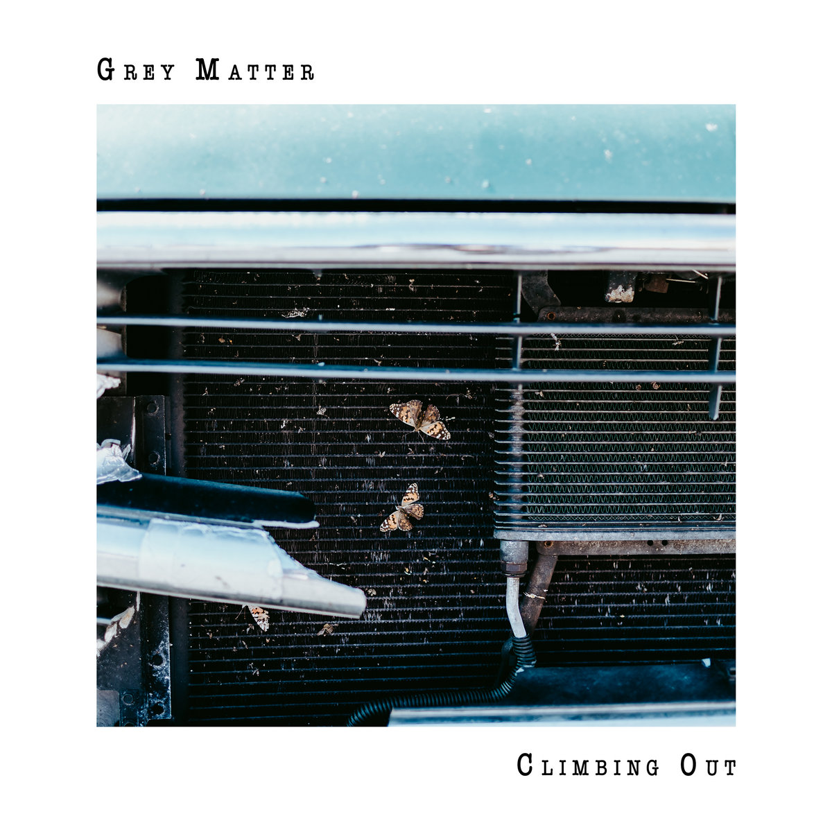 Grey Matter Albums: songs, discography, biography, and listening guide ...
