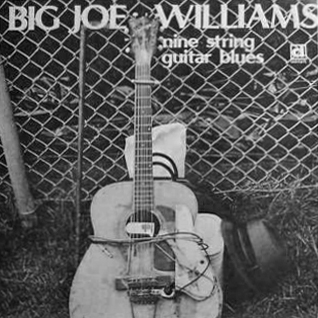 Nine String Guitar Blues by Big Joe Williams (Album, Blues): Reviews ...