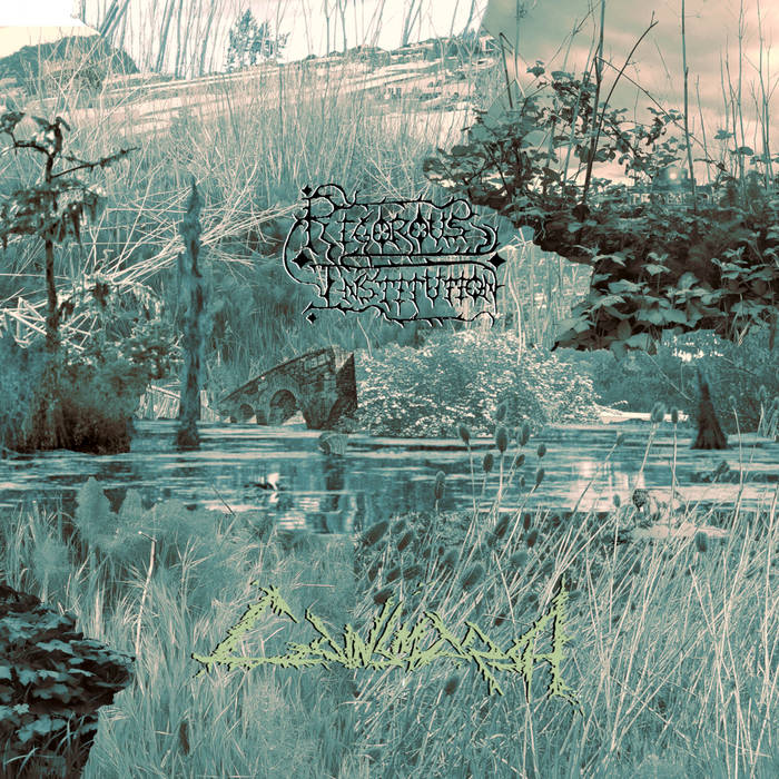 Cainsmarsh by Rigorous Institution (Album, Stenchcore): Reviews ...