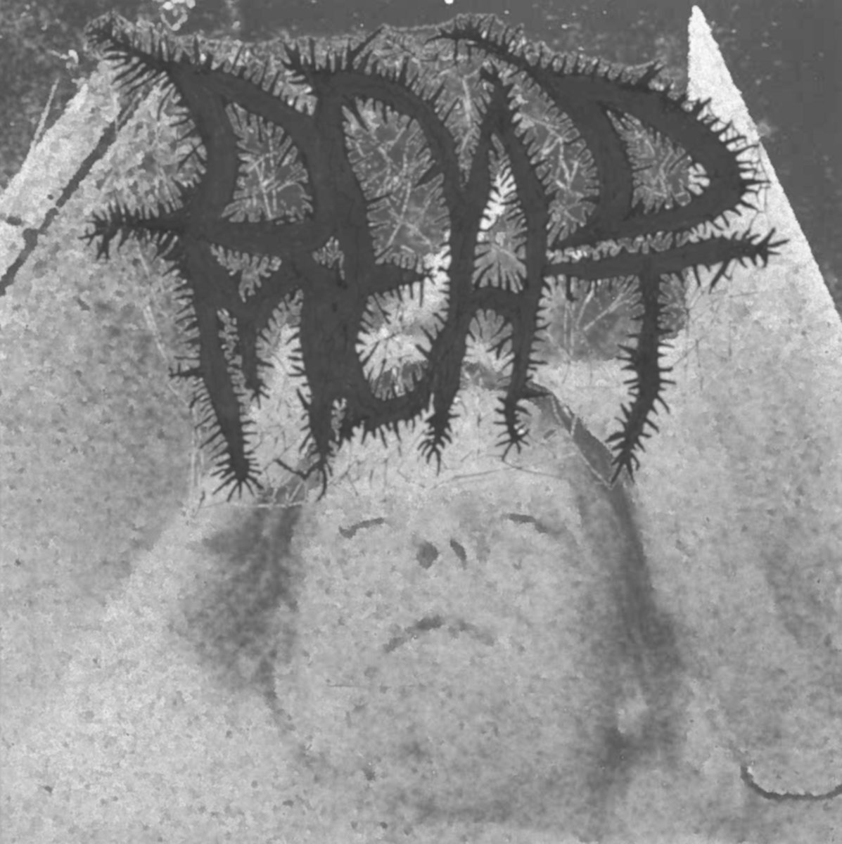 Dead Meat Albums: songs, discography, biography, and listening guide ...