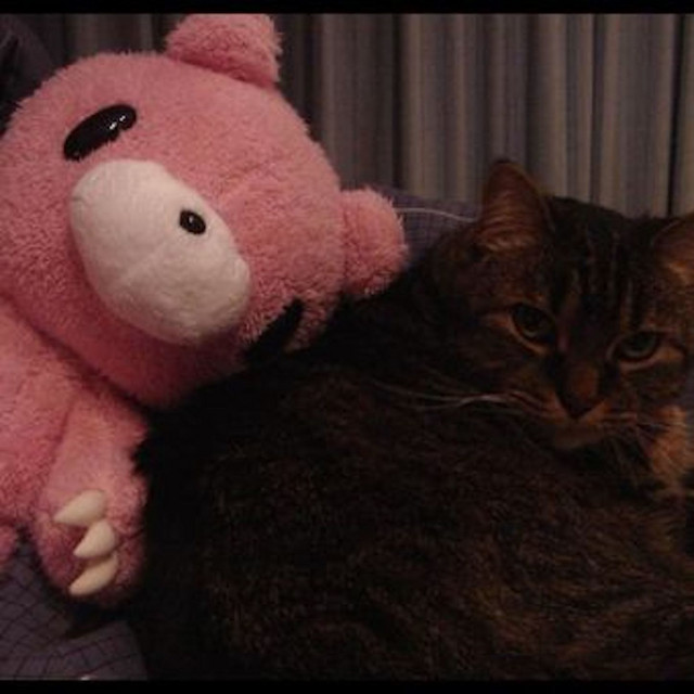 scars 4 u + xofilo by luvwillow (Album): Reviews, Ratings, Credits ...