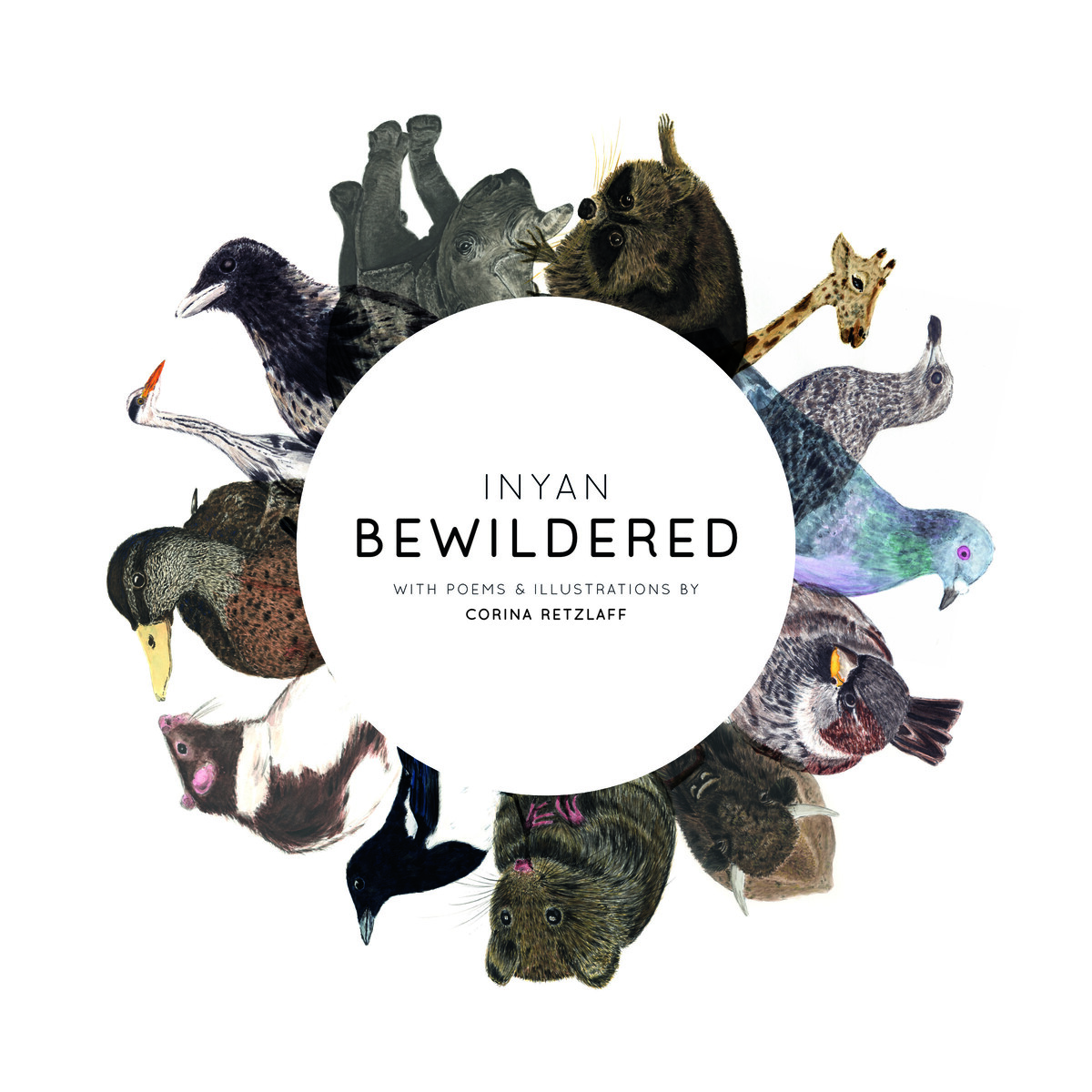 Bewildered by INYAN (Album): Reviews, Ratings, Credits, Song list ...