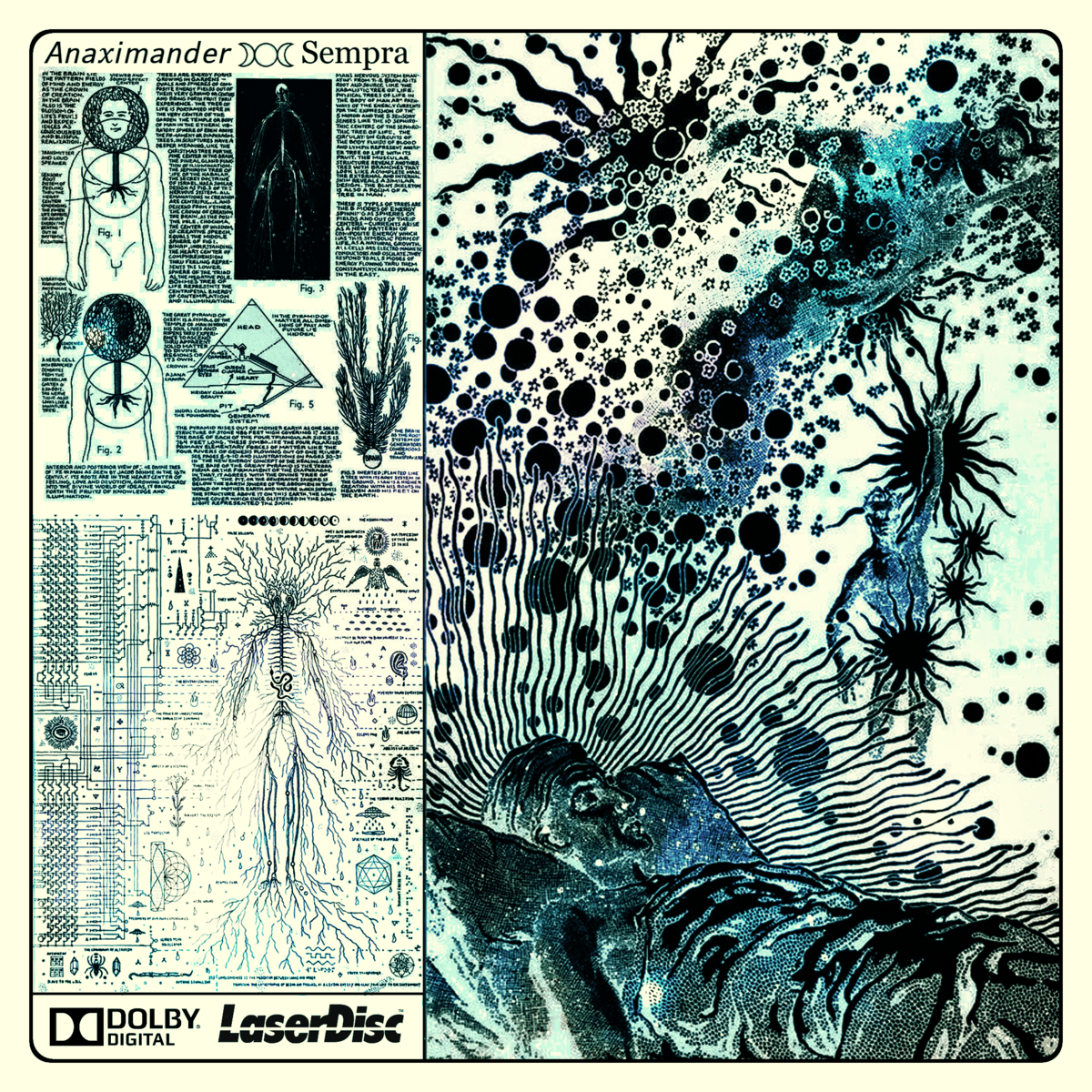 Anaximander Albums: songs, discography, biography, and listening guide - Rate Your Music