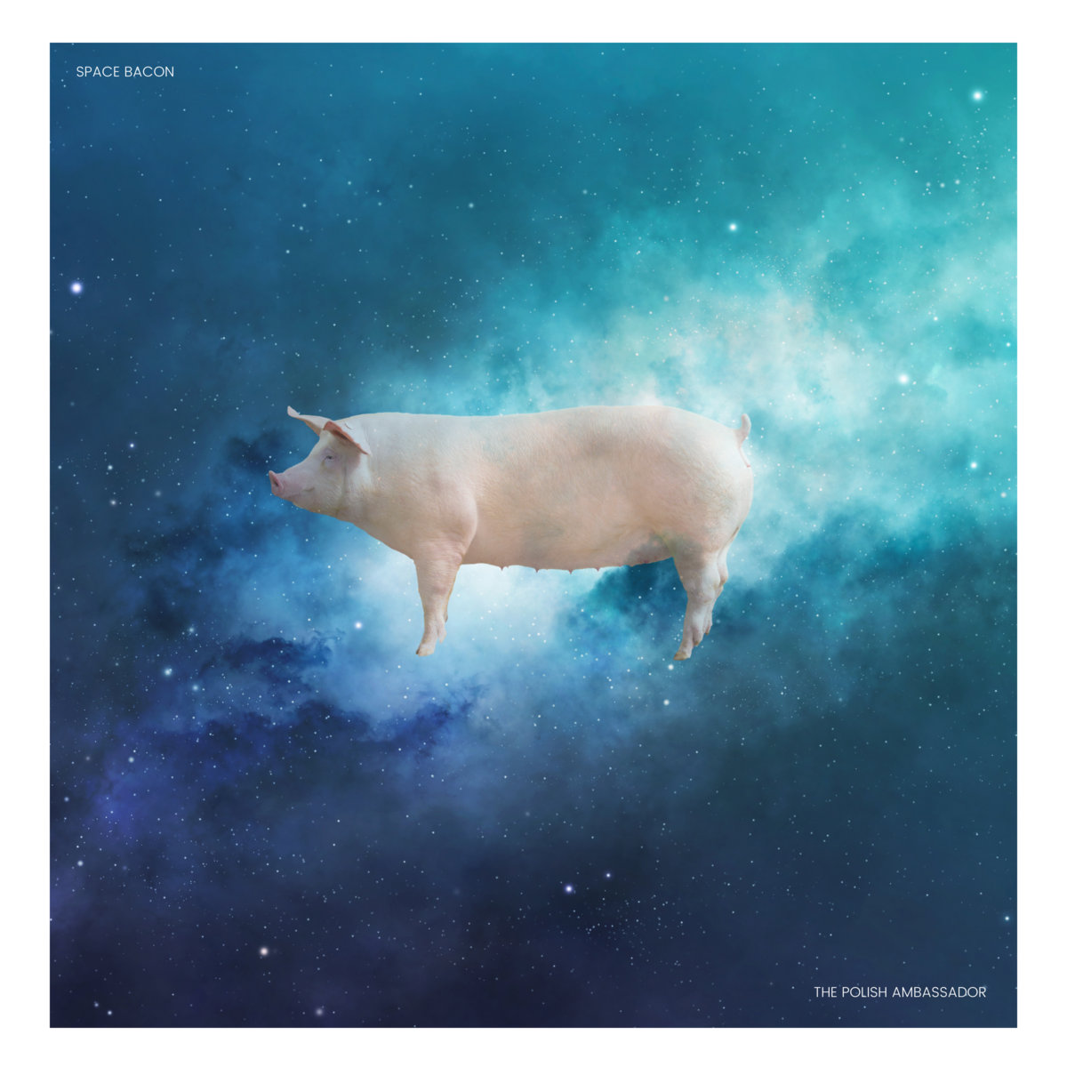 Space Bacon by The Polish Ambassador (Single): Reviews, Ratings ...