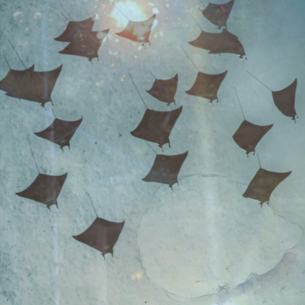 Holding Onto the Thought That Things Might Get Better by pinniped & narinari (Album; Ecran ...