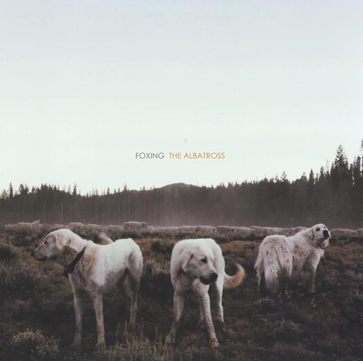 Foxing Albums: songs, discography, biography, and listening guide ...