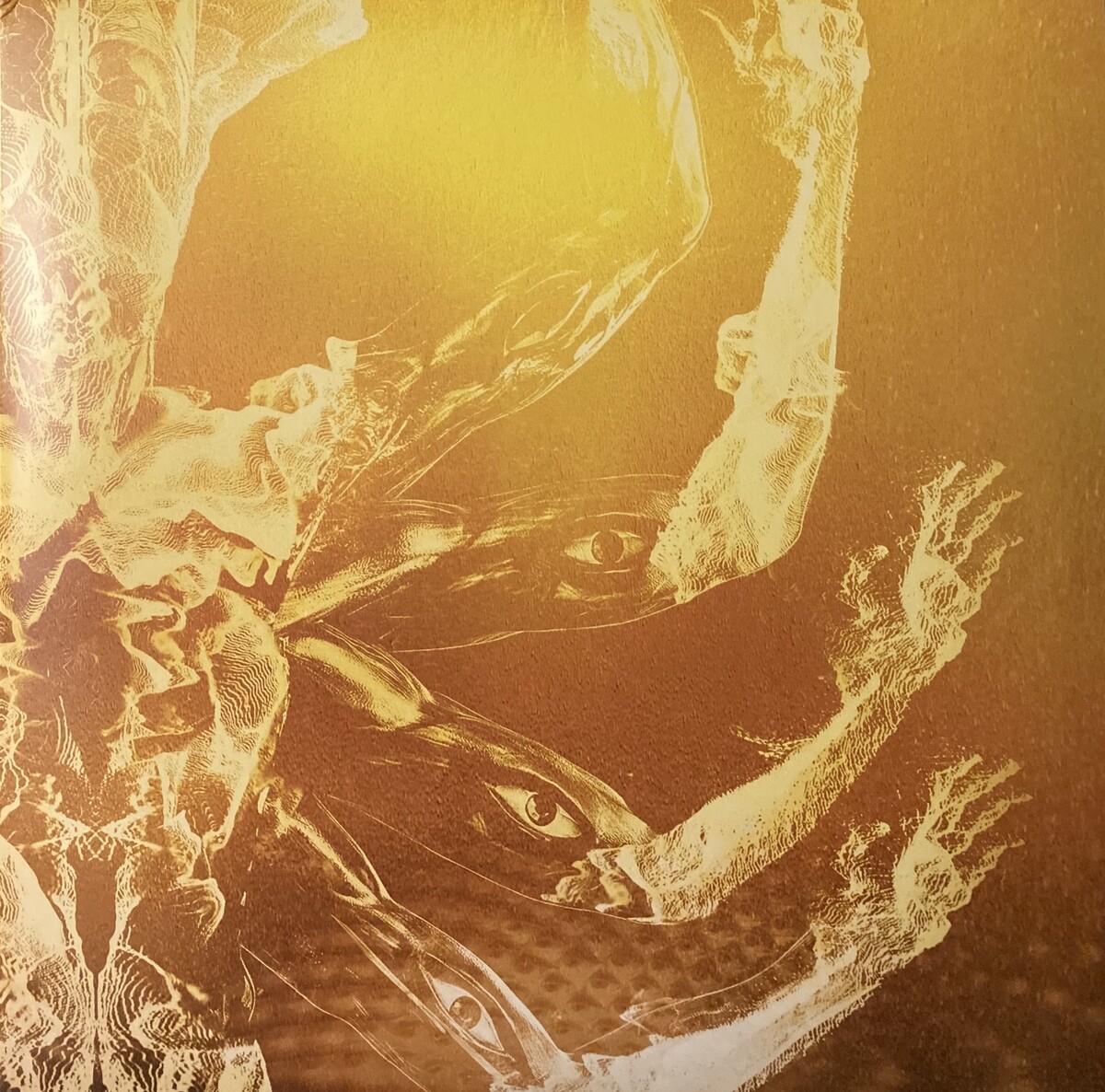 Fear Inoculum by Tool (Album; Tool Dissectional; 19439-95020-1S1 ...