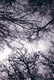 Sorrow by Hate Forest (Album; Totenkopf Propaganda; TP Tape 10 ...