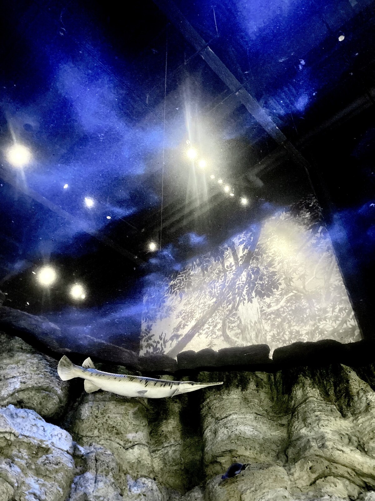 Other Ways of Knowing by Steel to Soil (Album): Reviews, Ratings ...