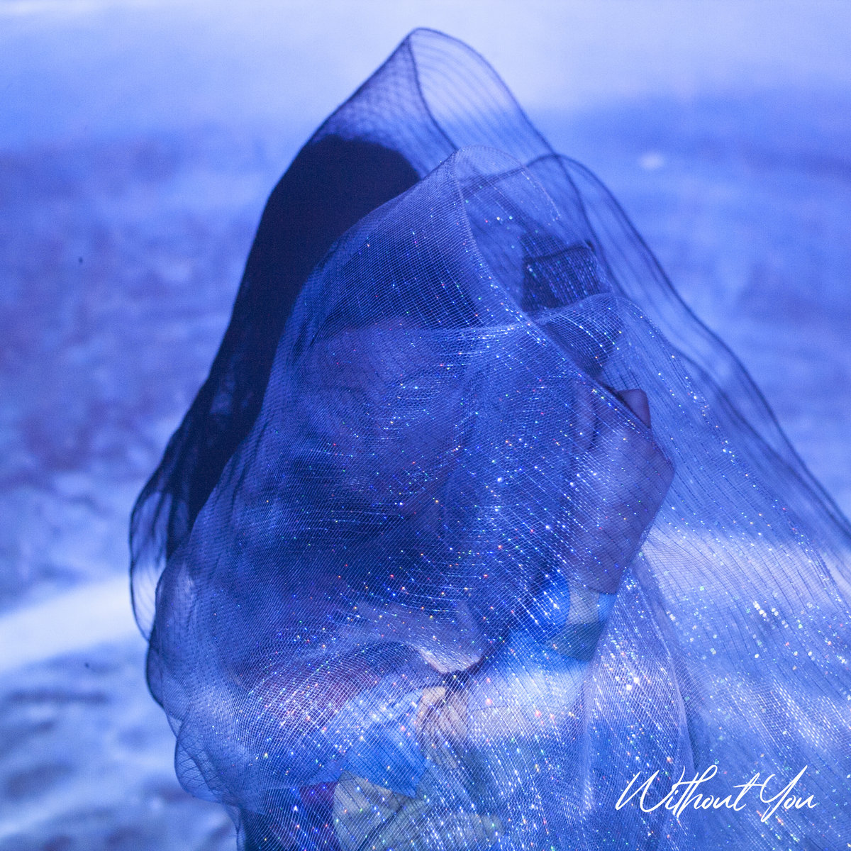 Without You by That Nikki You Know (Single): Reviews, Ratings, Credits ...