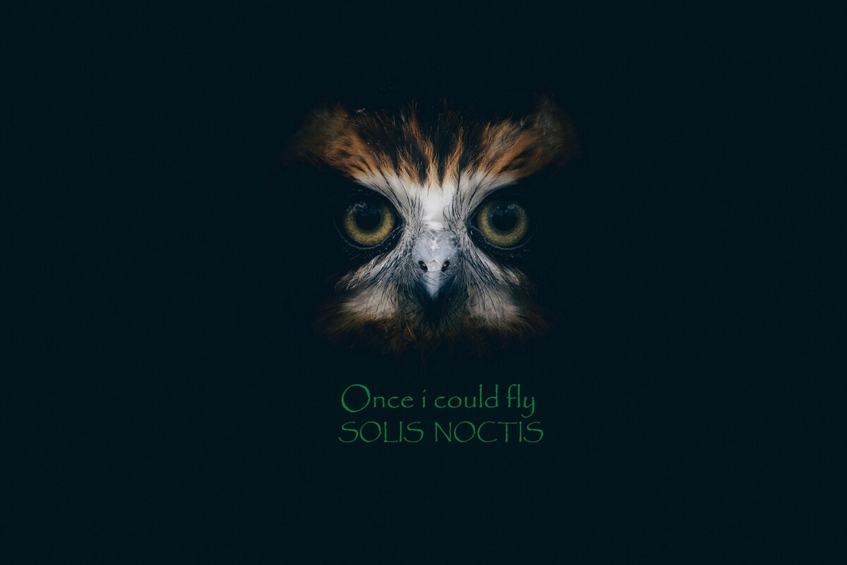 Once I Could Fly by Solis Noctis (Album; n/a; n/a): Reviews, Ratings ...