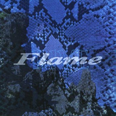 Flame Albums: songs, discography, biography, and listening guide - Rate ...