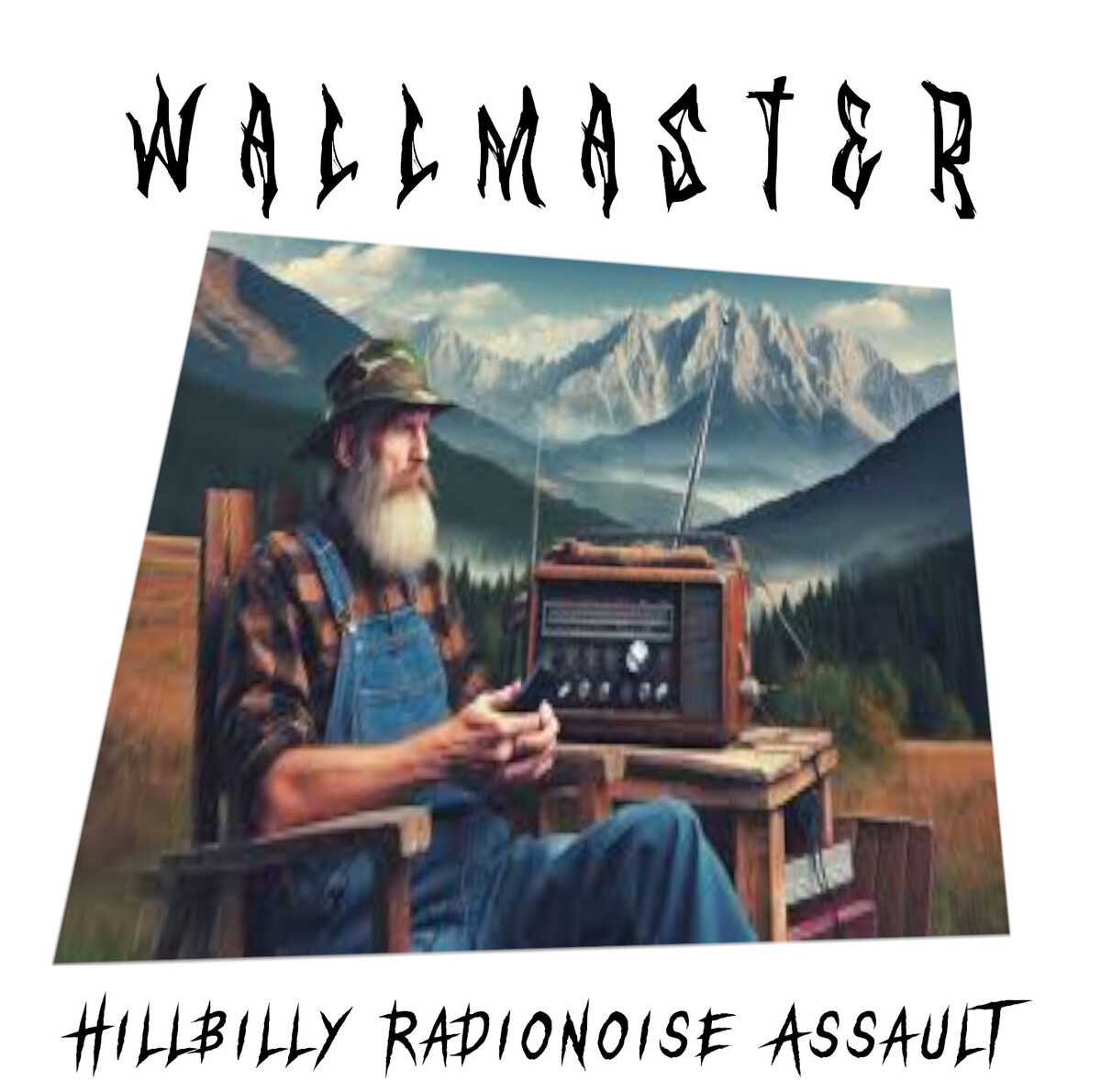 Hillbilly Radionoise Assault by Wallmaster (Album; n/a; n/a): Reviews ...