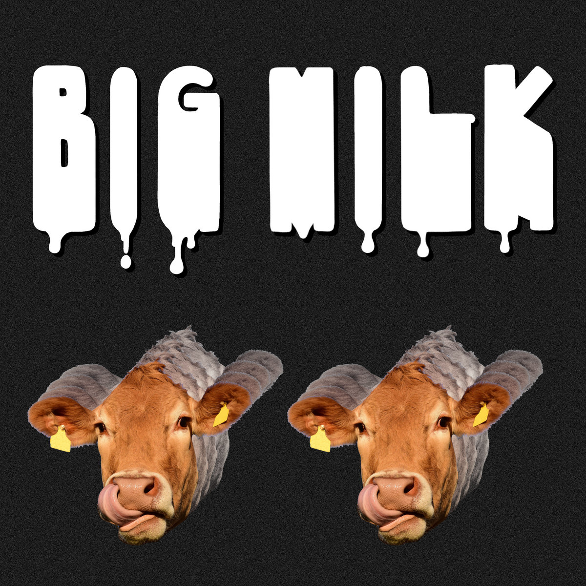 Big Milk Albums: songs, discography, biography, and listening guide ...