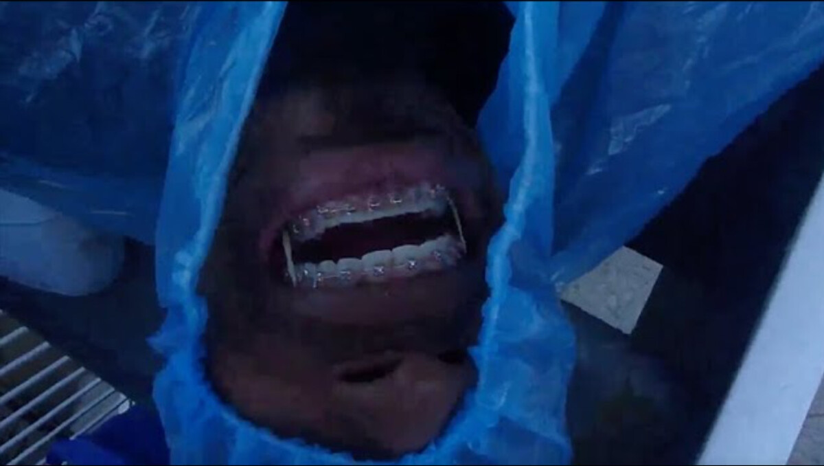 Skeletrix Island by Edward Skeletrix (Music video, Electronic): Reviews ...