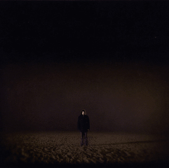 Arboreal by The Flashbulb (Album, IDM): Reviews, Ratings, Credits, Song ...