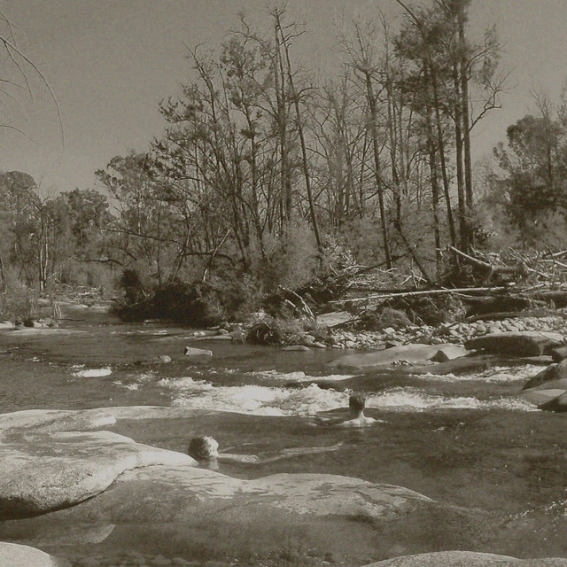 The Vehicle Is Invisible by frogurt (Album): Reviews, Ratings, Credits ...