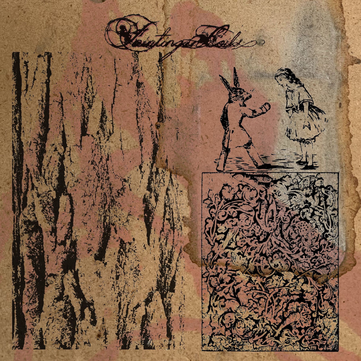 Fainting in Coils Albums: songs, discography, biography, and listening ...