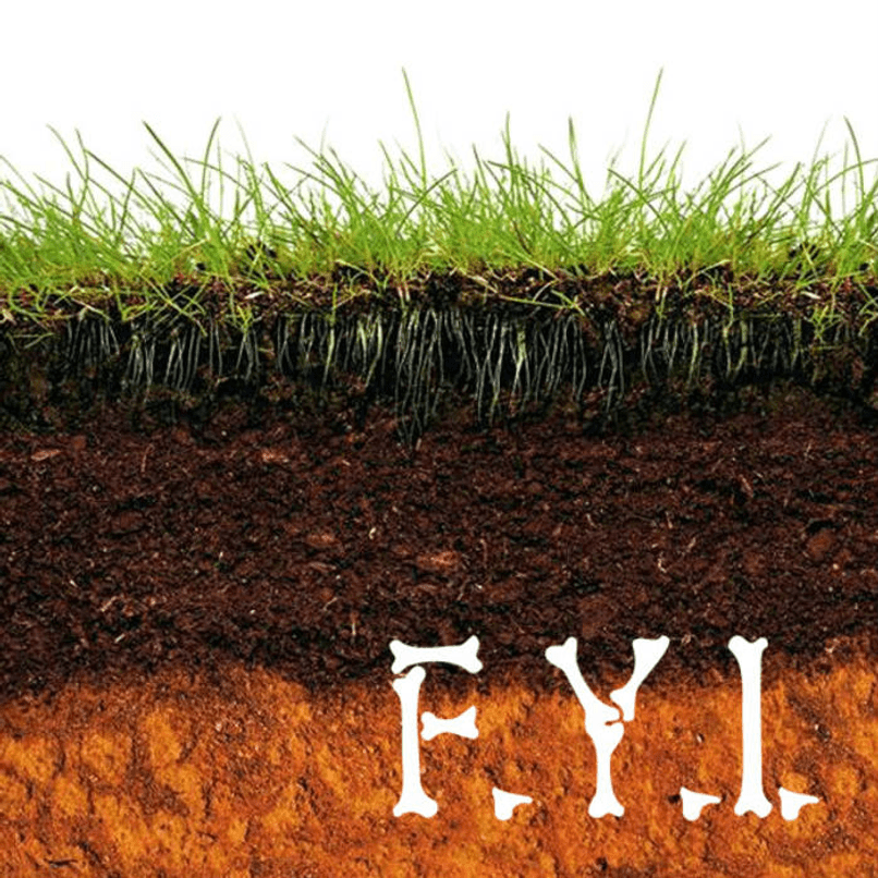 F.Y.I. by Mach-Hommy (Album, Conscious Hip Hop): Reviews, Ratings ...