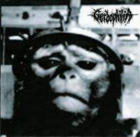 Emo-Roidal Crust Grindcore by Gerbophilia (EP): Reviews, Ratings ...