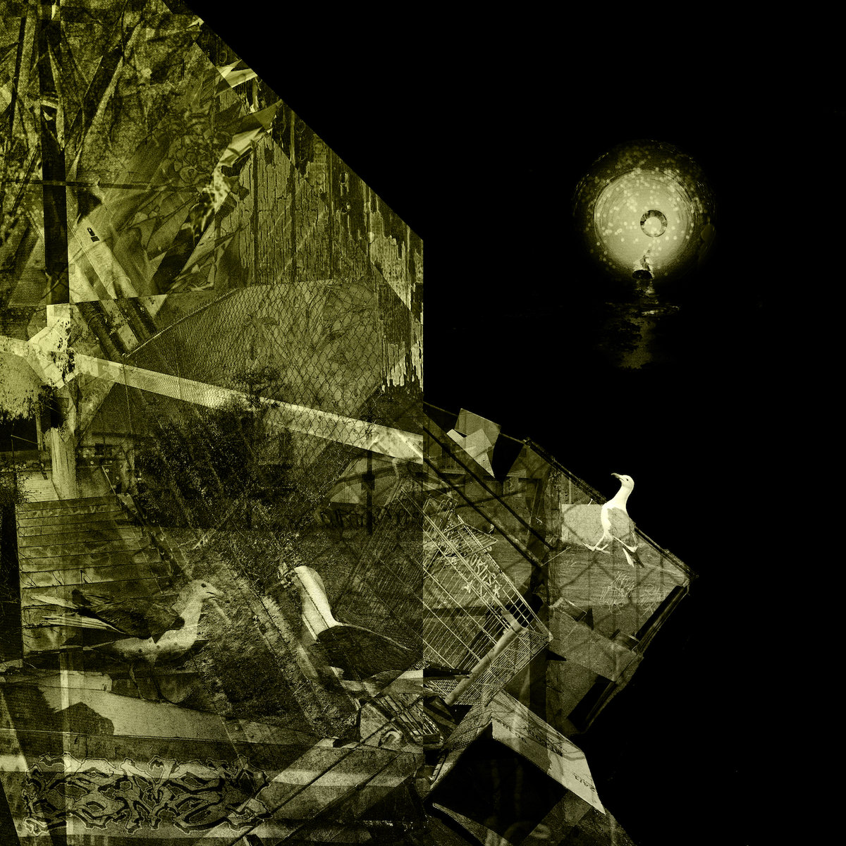 Enclose and Illuminate by Venom Benzo (EP, Drum and Bass): Reviews ...