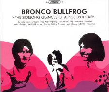 The Sidelong Glances of a Pigeon Kicker by Bronco Bullfrog (Album ...