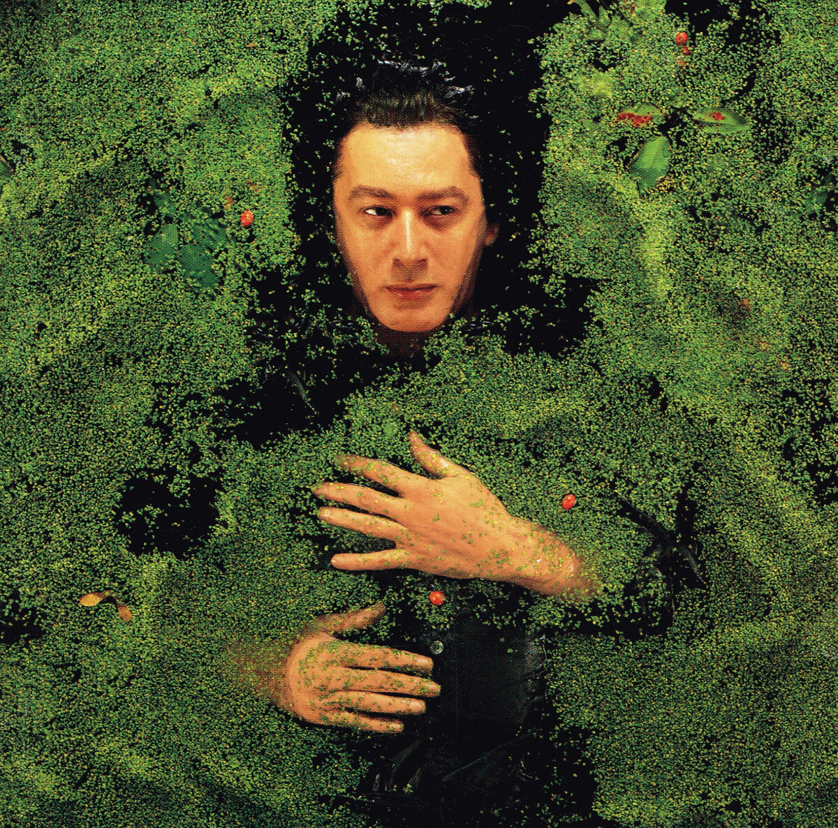 Best Chanson albums of 1998 - Rate Your Music