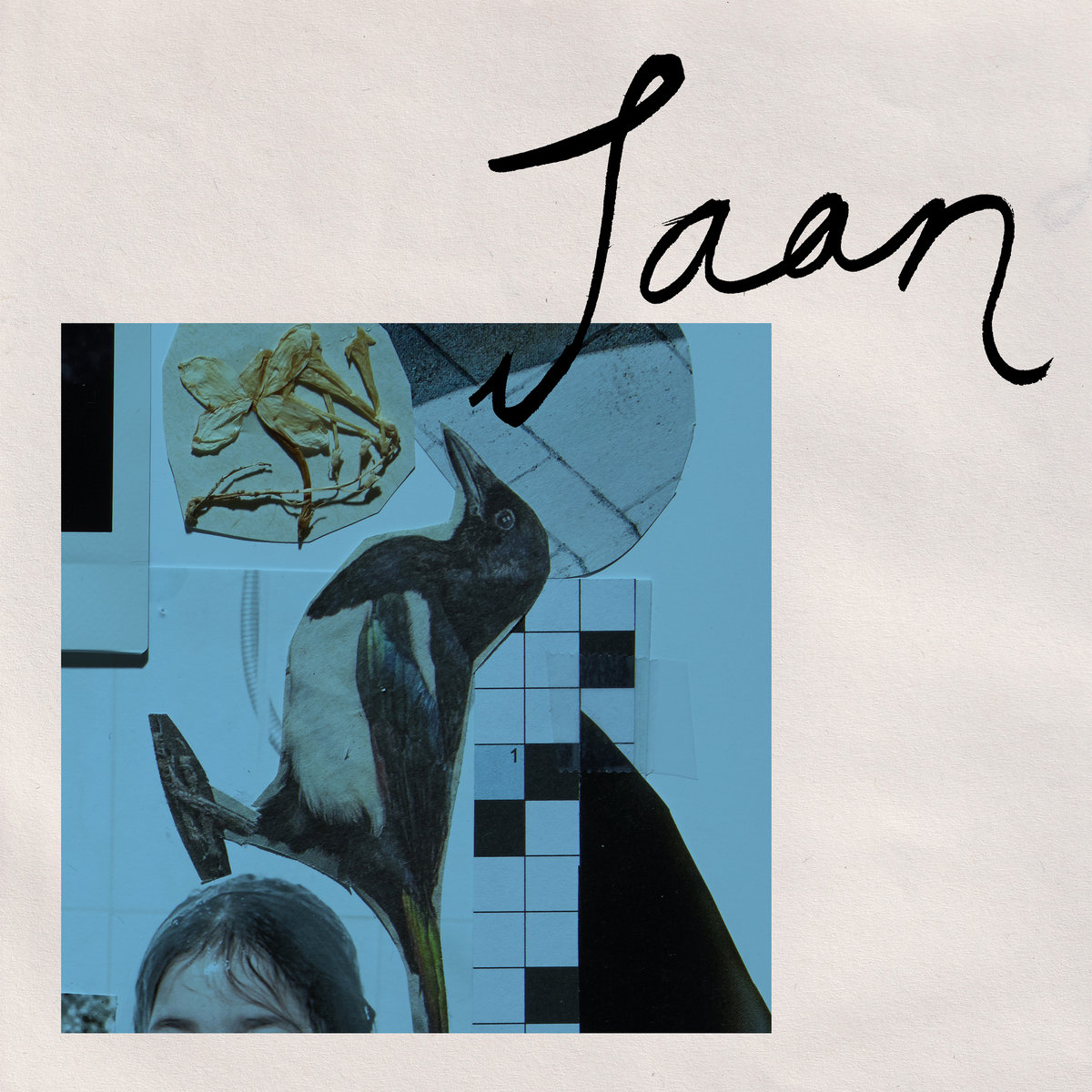Jaan Albums: songs, discography, biography, and listening guide - Rate ...