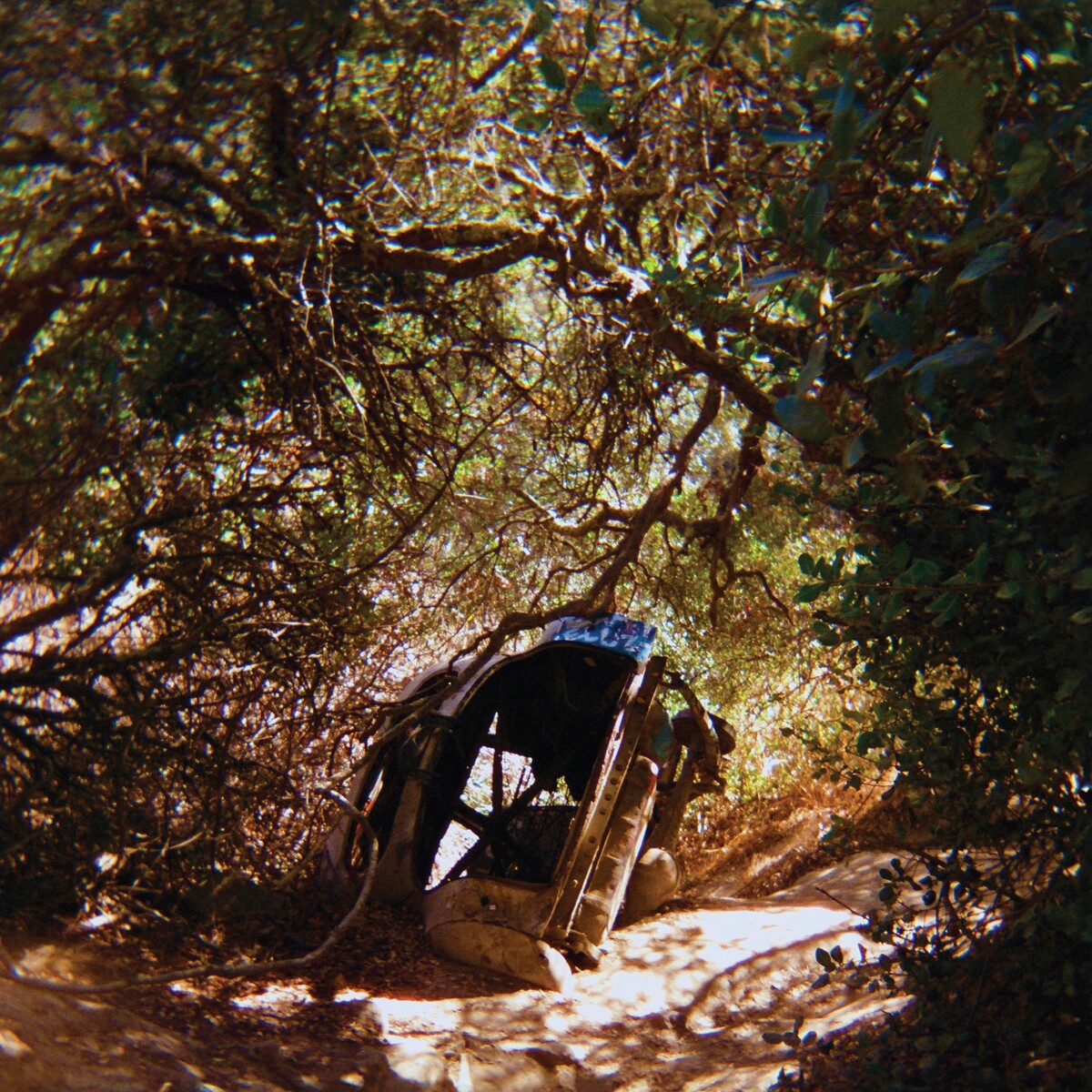 Possession by Ty Segall (Album, Glam Rock): Reviews, Ratings, Credits ...