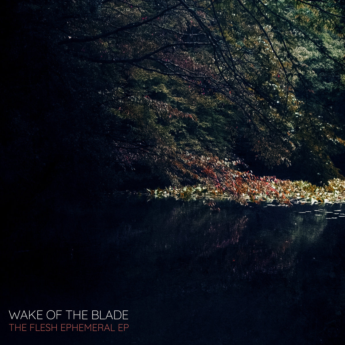 Wake of the Blade Albums: songs, discography, biography, and listening ...