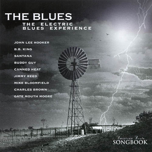 The Blues - The Electric Blues Experience by Various Artists ...