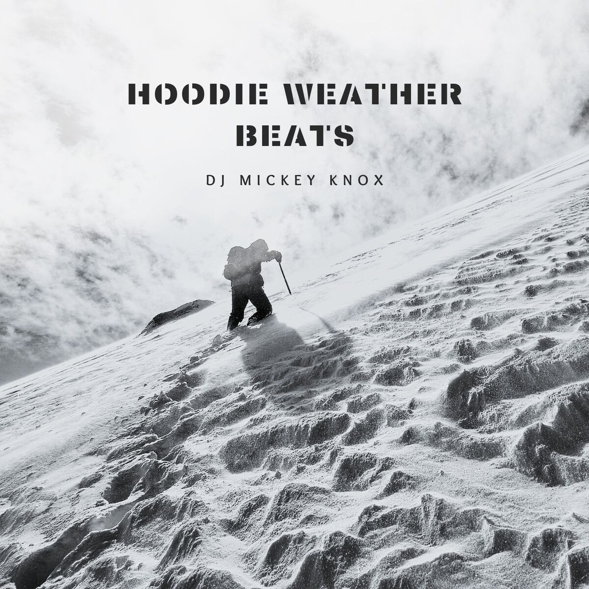 Hoodie Weather Beats by DJ Mickey Knox (EP): Reviews, Ratings, Credits ...