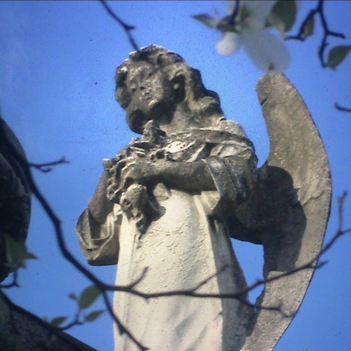 SUMMR'24 by E_DEATH (EP): Reviews, Ratings, Credits, Song list - Rate ...