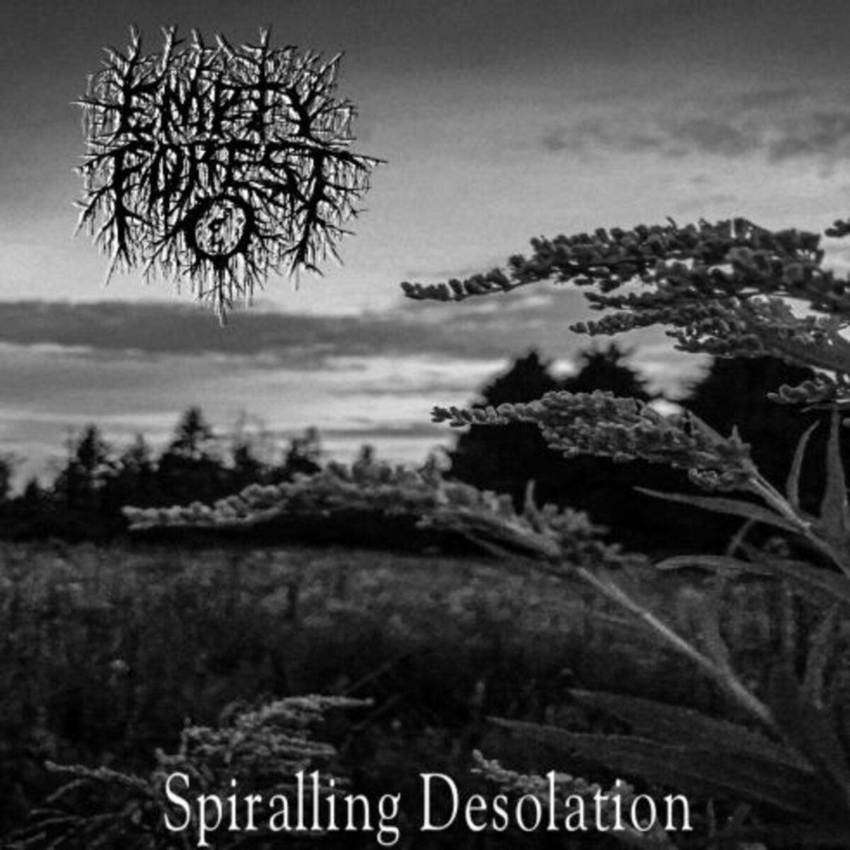 Spiralling Desolation by Empty Forest (EP): Reviews, Ratings, Credits ...