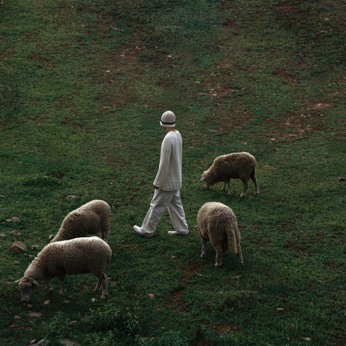 Lil Sheep’s Yung Blood by Will Not Fear (Single, Industrial Hip Hop ...