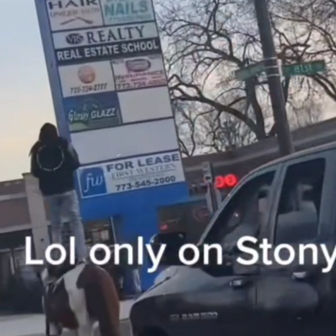 Show Me How (Stony Mix) by jape daw (Single): Reviews, Ratings, Credits ...