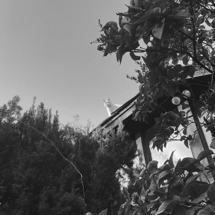 Music credits for Teddy P : 5 performances listed under producer ...