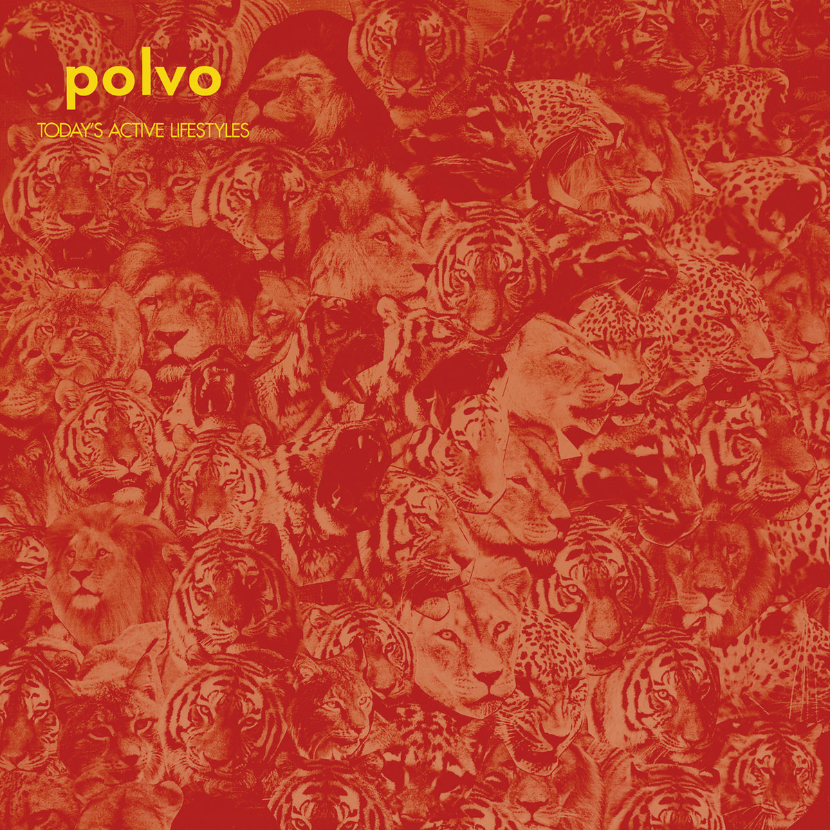 Today's Active Lifestyles by Polvo (Album; Merge; MRG040): Reviews ...
