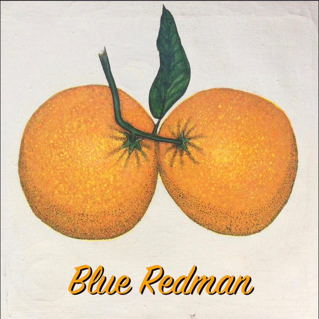 Blue Redman Albums: songs, discography, biography, and listening guide ...